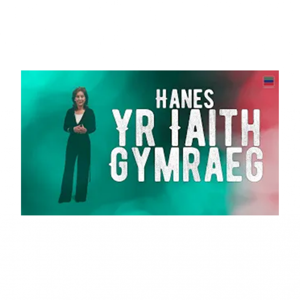 Home [www.partneriaeth.cymru]