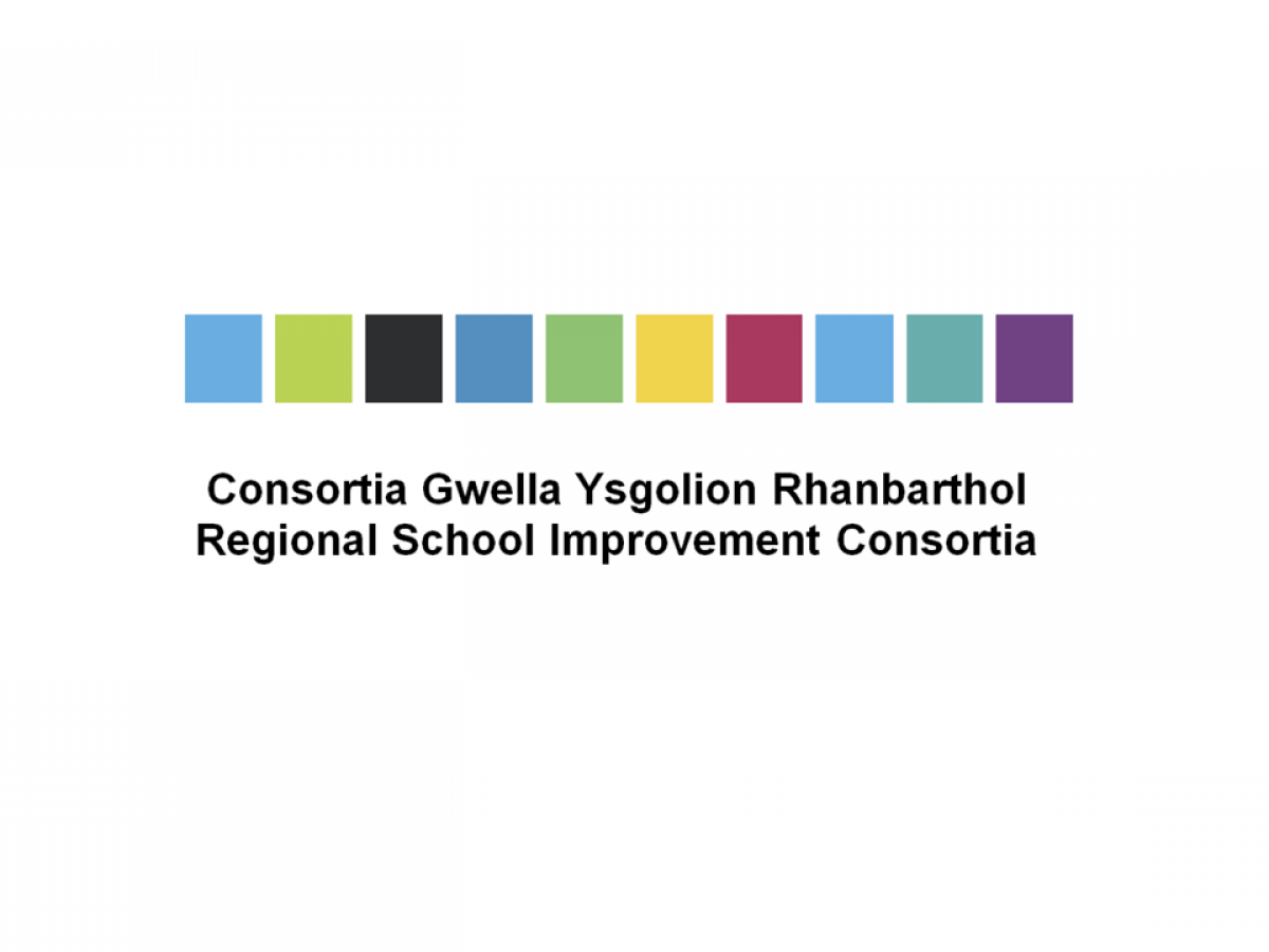 Rhaglen Ddysgu Proffesiynol Cenedlaethol -Traws rhanbarthol National ...